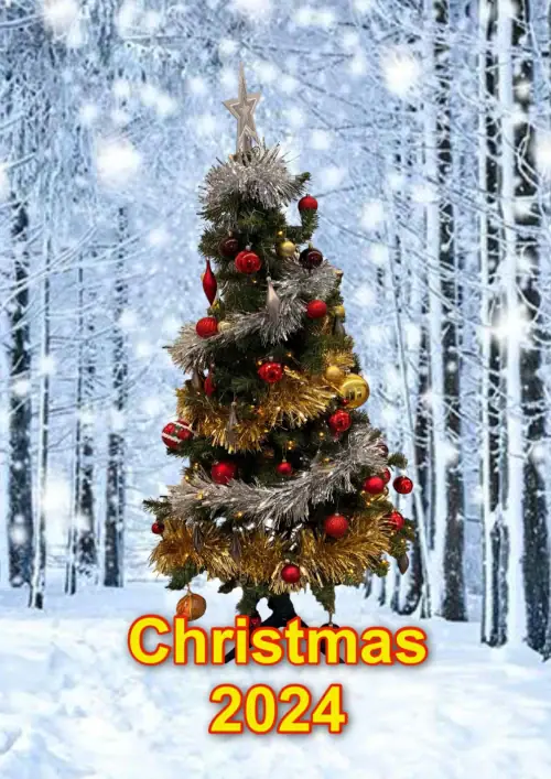 Phoenix Support Kent | Specialist Care & Supported Living Services